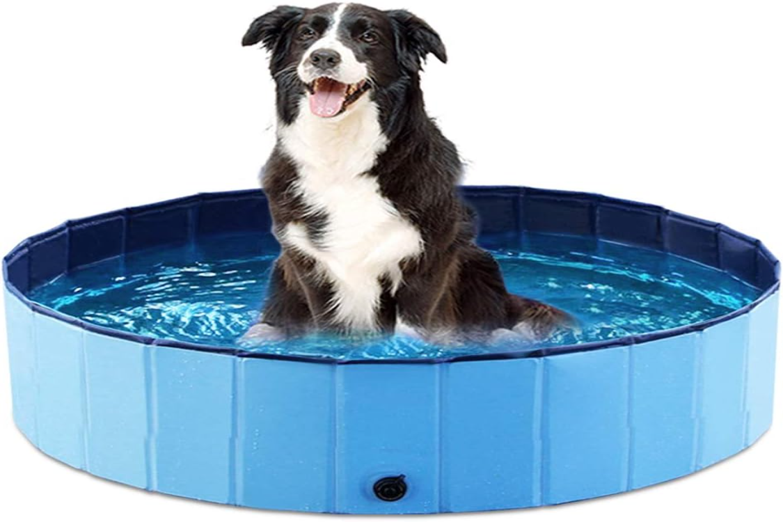 13 Landscaping Ideas for a Beautiful Dog Run - TheTalkHome