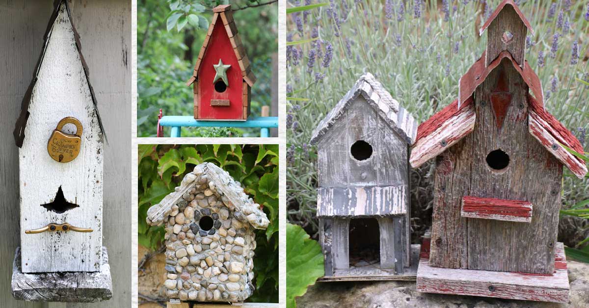 9 Free DIY Birdhouse Plans You Can Build Under $5 - TheTalkHome