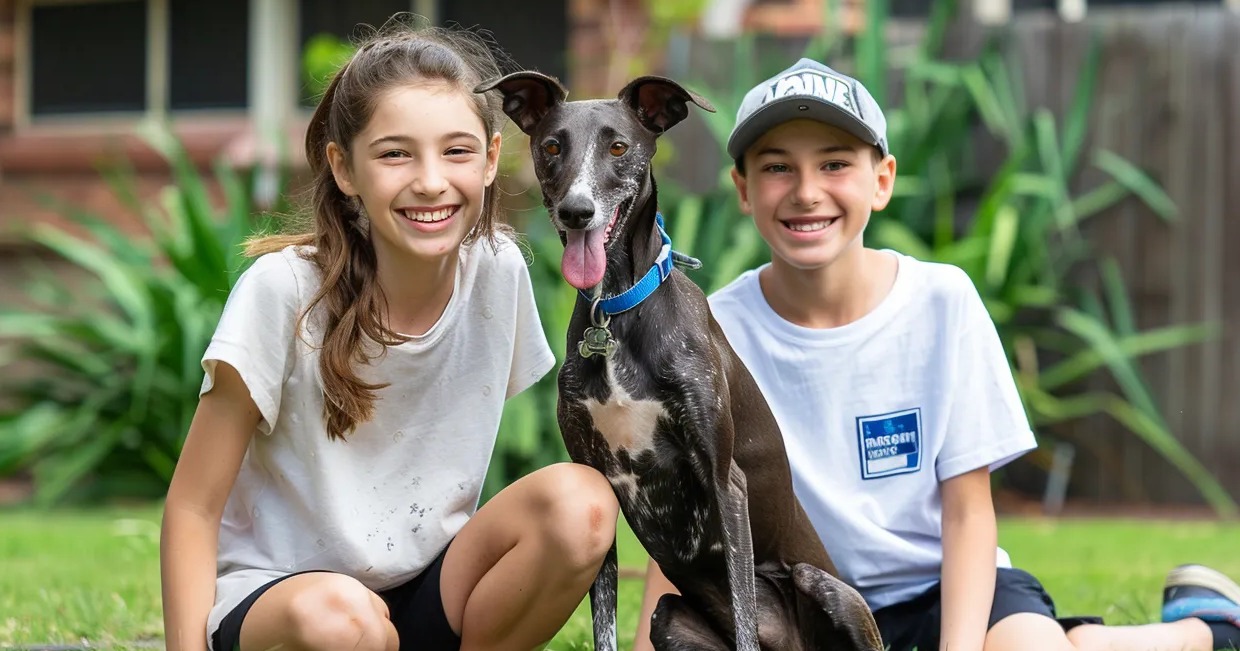 Greyhounds Temprament Explained: Are They Child-Friendly? - TheTalkHome